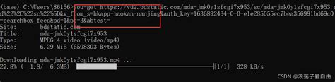 【python】非常优秀的网站视频下载工具：you Getyou Get下载视频python Csdn博客