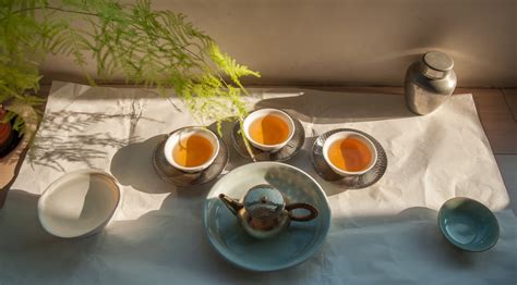 Tea Masters Purity And Wucha Feeling