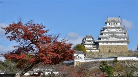 「姫路お城のアンバサダー」が決定。「姫路お城の女王」から名称改め｜姫路市 ｜いいものタウン 兵庫県まんなか地域のニュースメディア