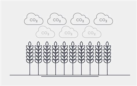 The Biofuel Process Sustain Fuels