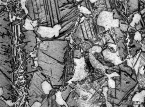 Microstructure Upon Etching With Adlers Reagent Download Scientific