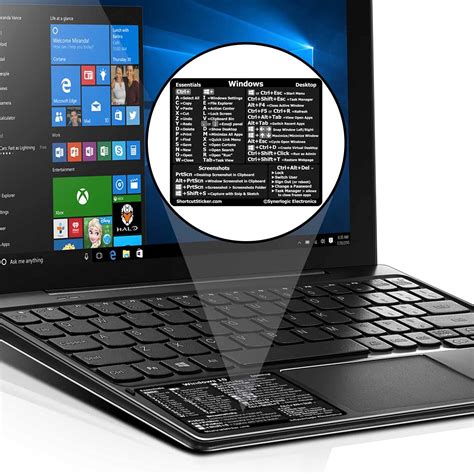Buy Synerlogic Windows Pc Reference Keyboard Shortcut Vinyl Sticker