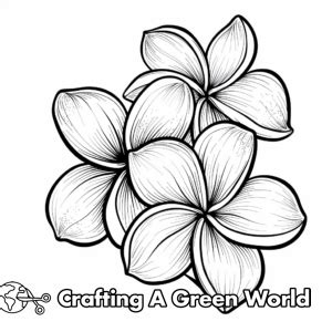 Tropical Flowers Coloring Pages Free And Printable
