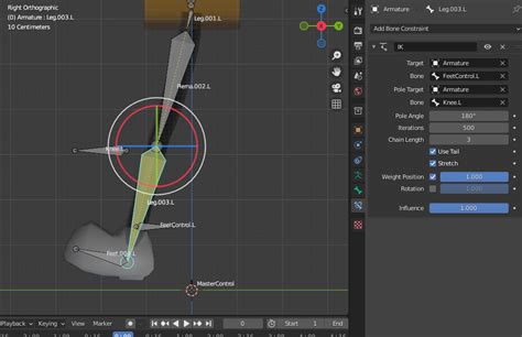 Problem With The Ik Rigging The Heel Bone Control Is Not Connected At