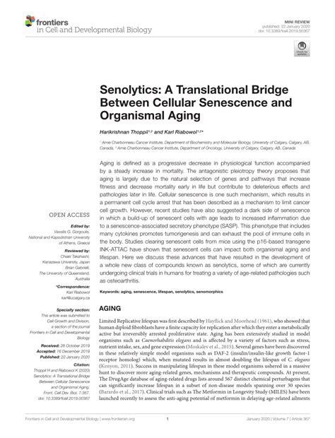 Pdf Senolytics A Translational Bridge Between Cellular Senescence And Organismal Aging