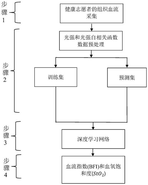 Tissue Blood Flow And Oxyhemoglobin Saturation Measuring Method Based