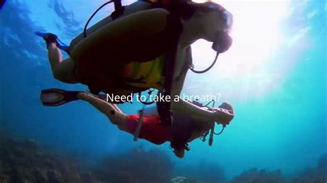 Diving Advert Youtube
