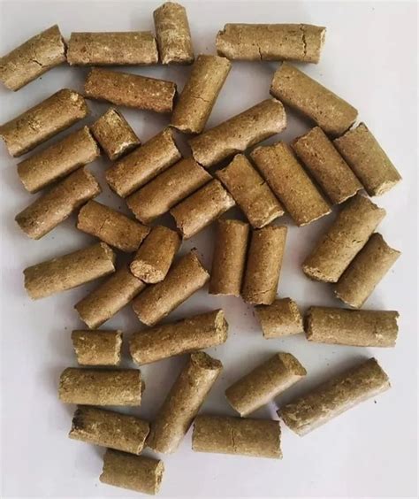 Maize Cattle Pallet Feed At Rs 200kg Pellet Feed In Sehore Id