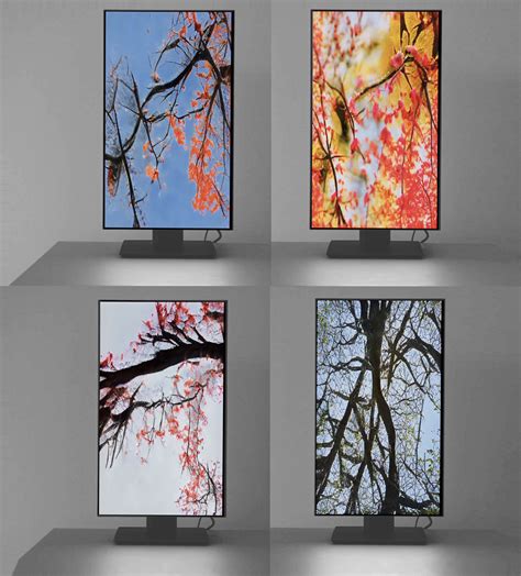 The Fifth Season — Celyn Bricker