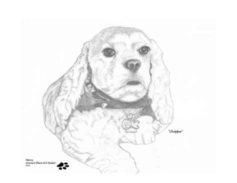 Portrait Of Chopper Gracies Place Art Studio And Design Drawings