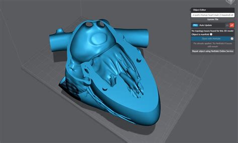Human Heart Cross Section 3d Model 3d Printable Cgtrader
