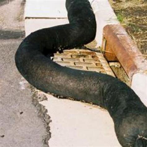 Mkb Filtrexx Siltsoxx Compost Filter Sock W Stakes 8 In X 20 Ft 10