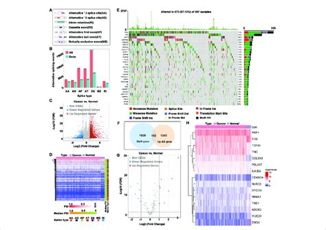 Identification Of Potential Antigen Candidate Genes A Types Of Download Scientific Diagram