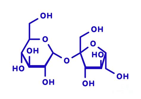 Sugar Molecular Structure