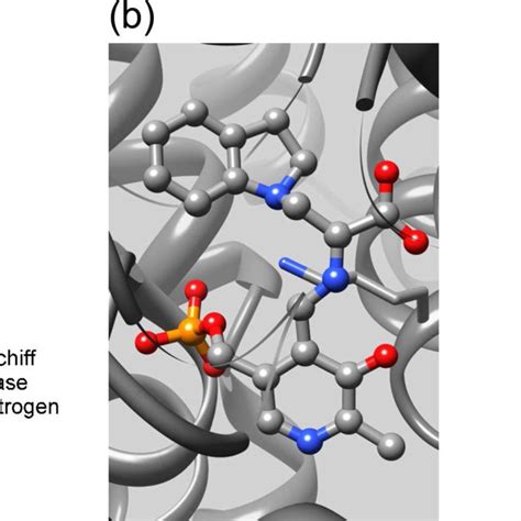 13 C Cpmas Solid State Nmr Spectra Of The Indoline Quinonoid