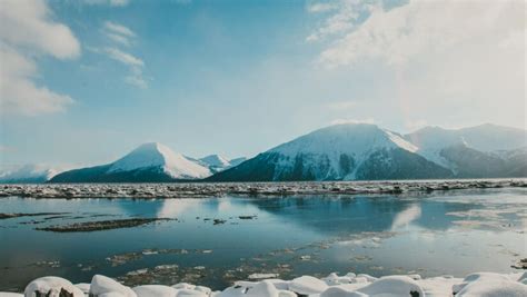 Its A Bears World At Admiralty Island National Monument