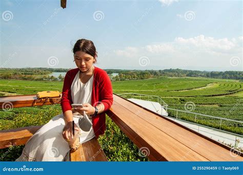 Thai Girl Sitting On The Bench Stock Image Image Of Cheerful Cute 255290459
