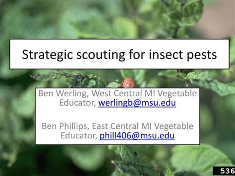 Scoutingactivity Pdf