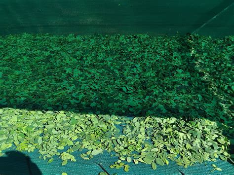 Namibia Nature Foundation Nnf Windhoek