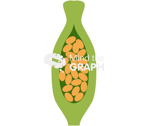 Free Bryophyta 5 Icons Symbols Pictures And Images Mind The Graph