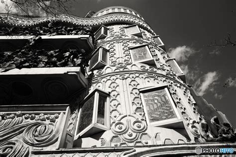 ドラード和世陀 ① By Shoken （id：11627206） 写真共有サイトphotohito