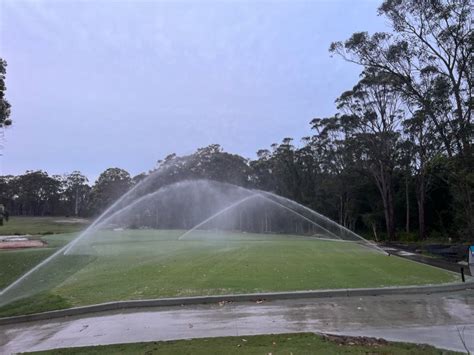 Aaron Cachia On Linkedin 6 Weeks Post Seeding And We Are Going Pretty Well A Couple Small Areas