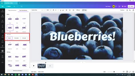 Make Text Appear And Disappear In Canva Video Makers Aid