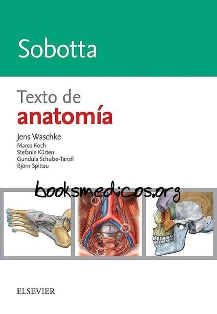 Sobotta Texto De Anatomia Az Udocz