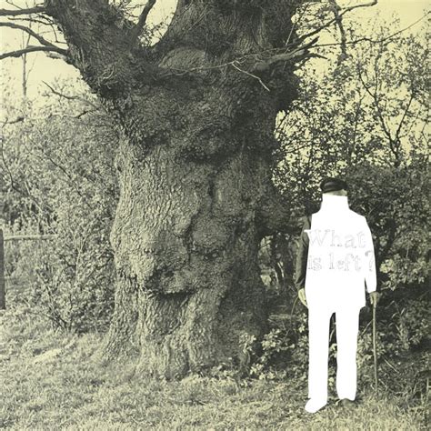 Beziehung · The Old Tree Art Print By Marko Koeppe Fy