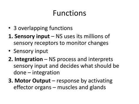 Ppt Chapter 11 Fundamentals Of The Nervous System And Nervous Tissue