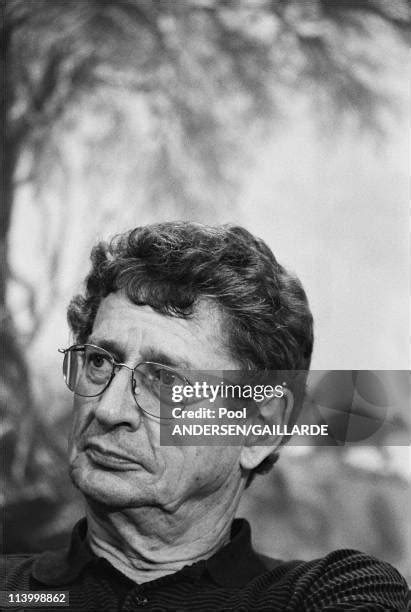 175 Andre Brink Photos And High Res Pictures Getty Images