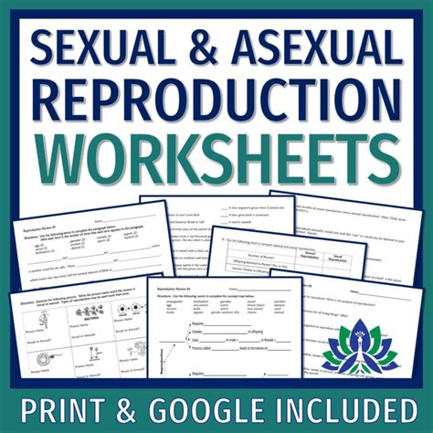 Sexual And Asexual Reproduction Worksheets Set Of 3 Flying Colors