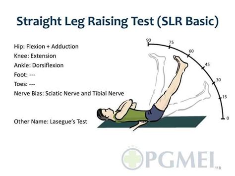 Straight Leg Raise Adduction