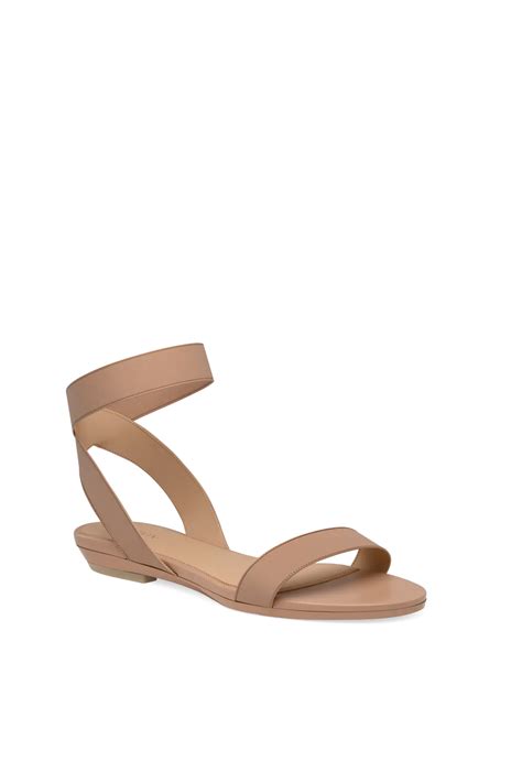 The Abby Latte Elastic