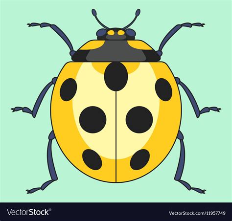 Yellow Ladybug Insect Royalty Free Vector Image