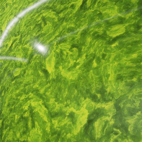 Swirling Bakelite Plastic Texture Green Poliigon