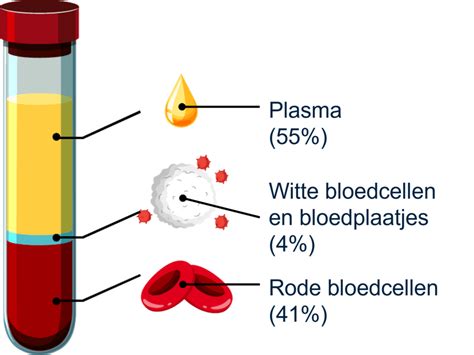 Wat Zijn De Functies En Samenstellingen Van Bloed Biologie