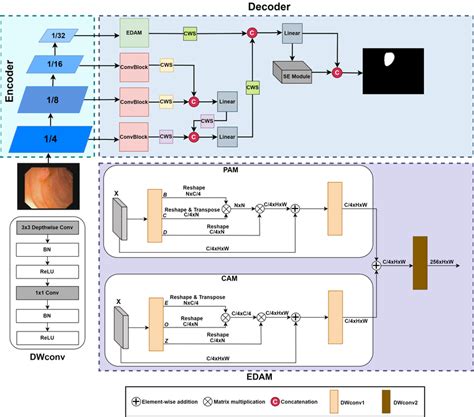 Paper Explain Damformer Enhancing Polyp Segmentation Through Dual