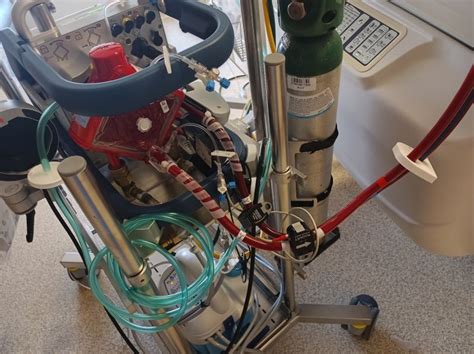 Ecmo Bharat Datt Msc Ccp Cpc Fpp Faacp Mba