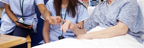 Preceptor Vs Mentor Learning Styles And Teaching Strategies Iu School Of Nursingpreceptor