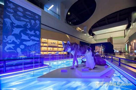 博物馆vol 056 中国航海博物馆 知乎