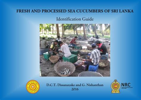 Fresh And Processed Sea Cucumbers Of Sri Lanka Identification Guide Pdf