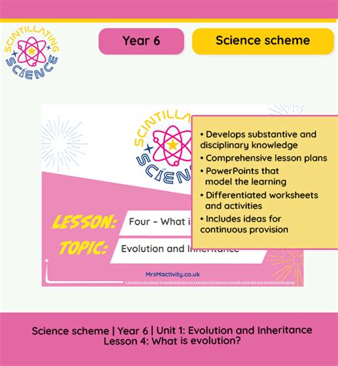 Year 6 Science Lesson On Evolution And Survival
