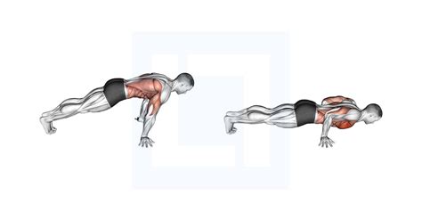 Scapula Push Up Guide Benefits And Form
