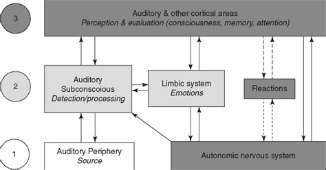 The Neurophysiological Model