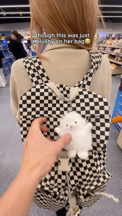 Isnt It Cute😭 Youtube