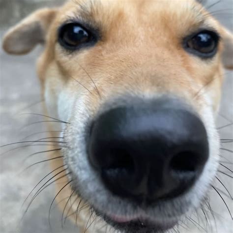 đại Fi5 ơ Youtube