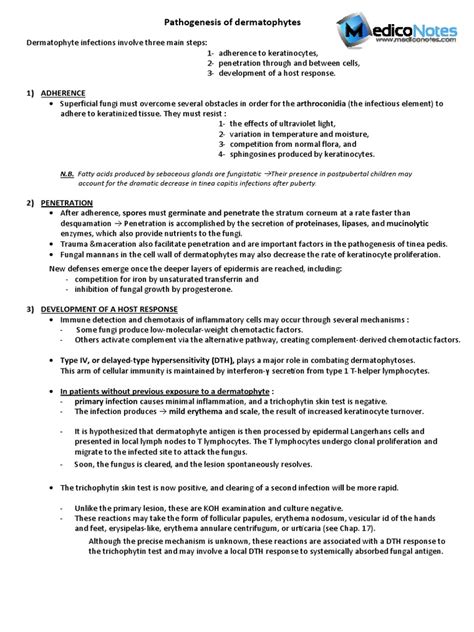 Pathogenesis Of Dermatophytes Pdf Immune System Immunology