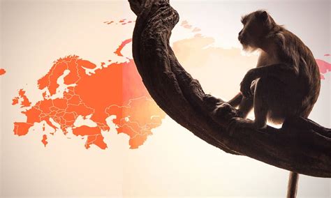 Brote De Viruela Del Mono En Europa Es El Más Grande En La Región