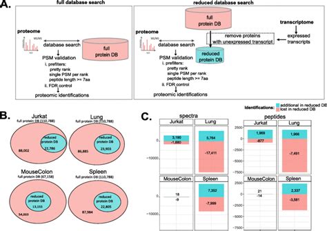 Comparison Of Proteomic Identifications From The Full Reference Download Scientific Diagram